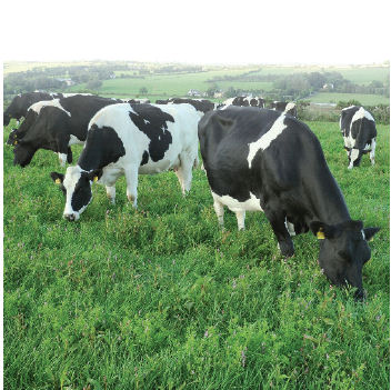 Barryroe Co-Operative Ltd.